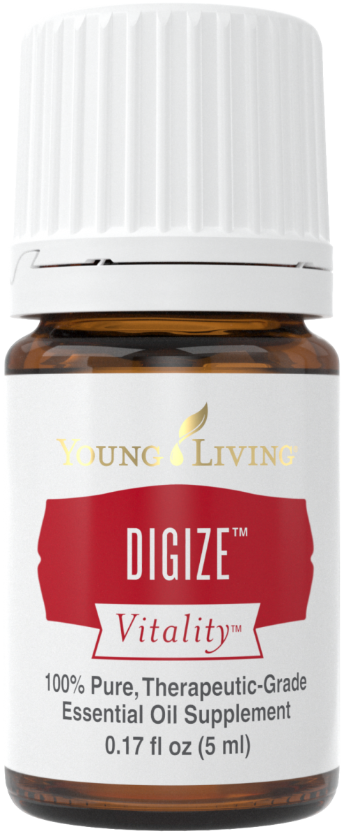 DiGize Vitality | Okc Massage Clinic